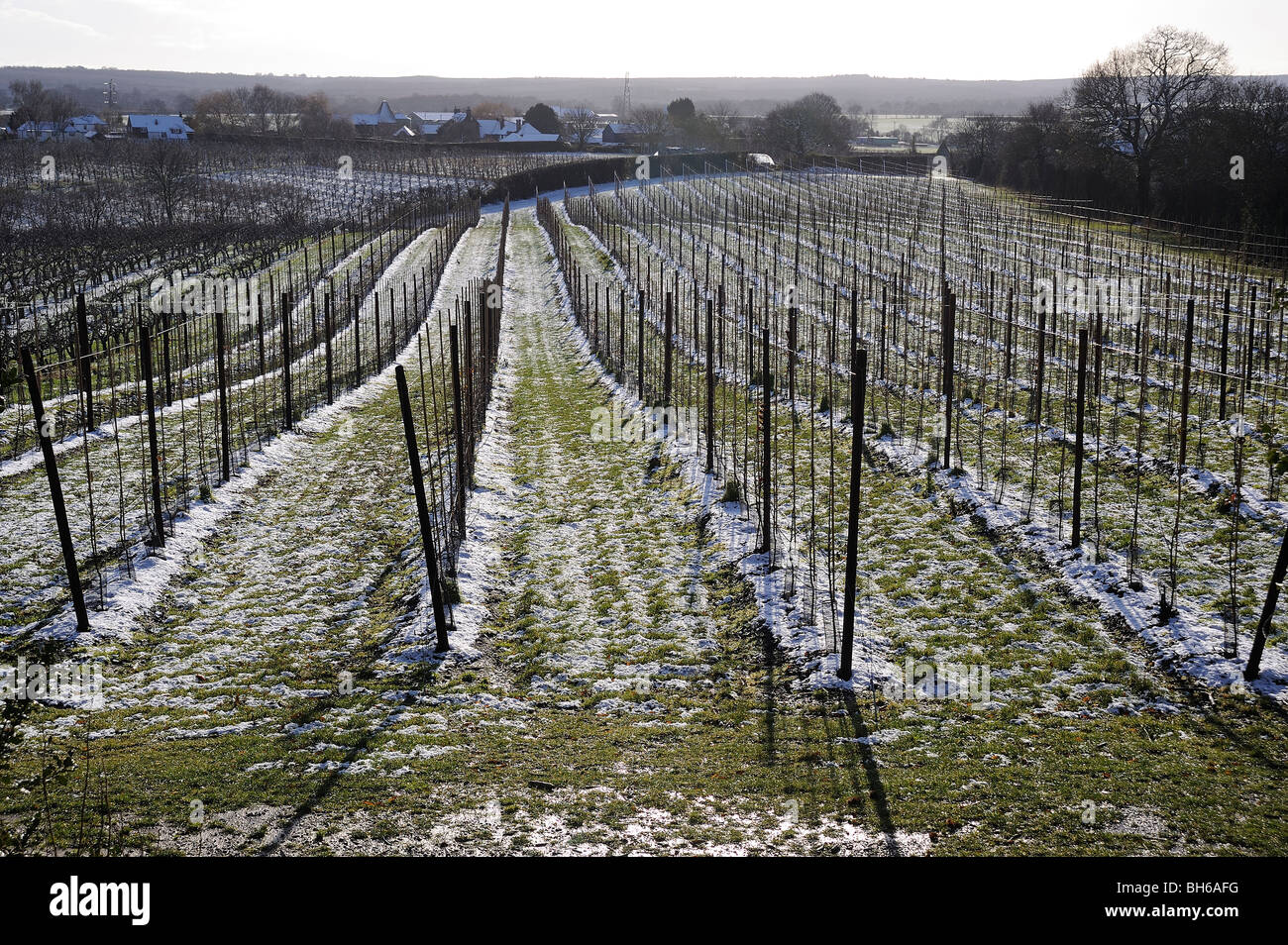 kent winter hop poles Stock Photo - Alamy