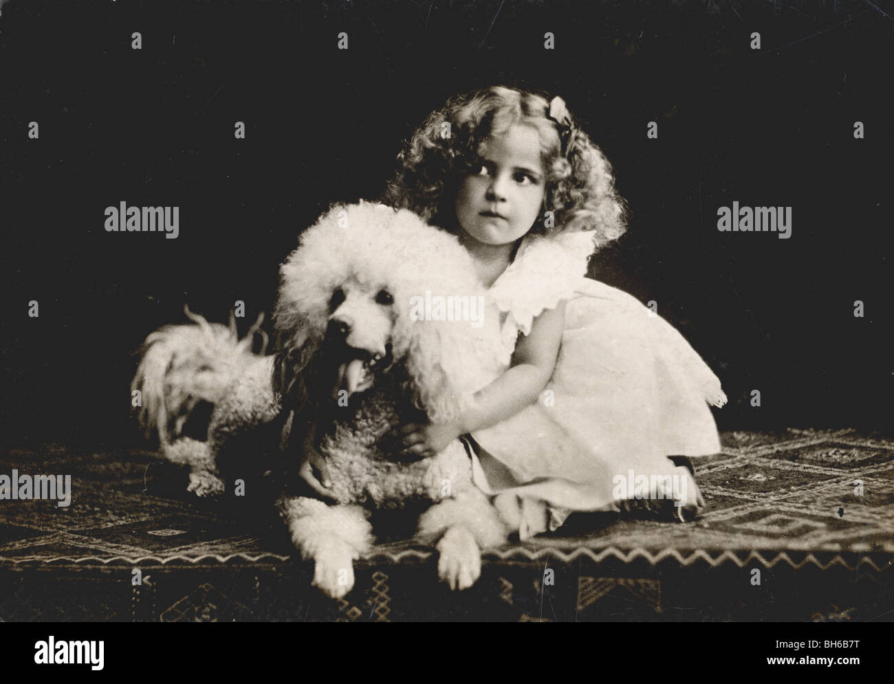 Lookalike Little Girl & Poodle Dog Stock Photo - Alamy