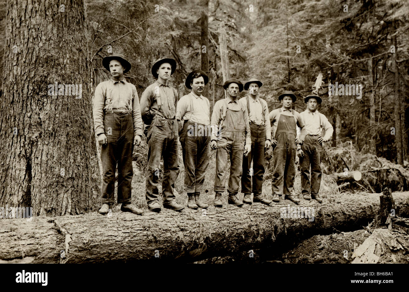 Seven Loggers Balancing on Fallen Log Stock Photo - Alamy
