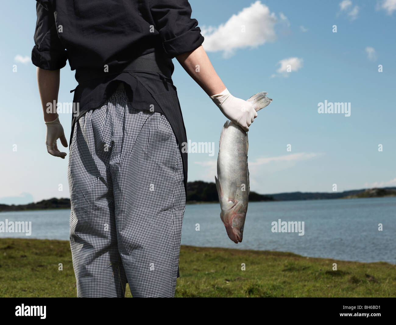 Chef holding fish Stock Photo - Alamy
