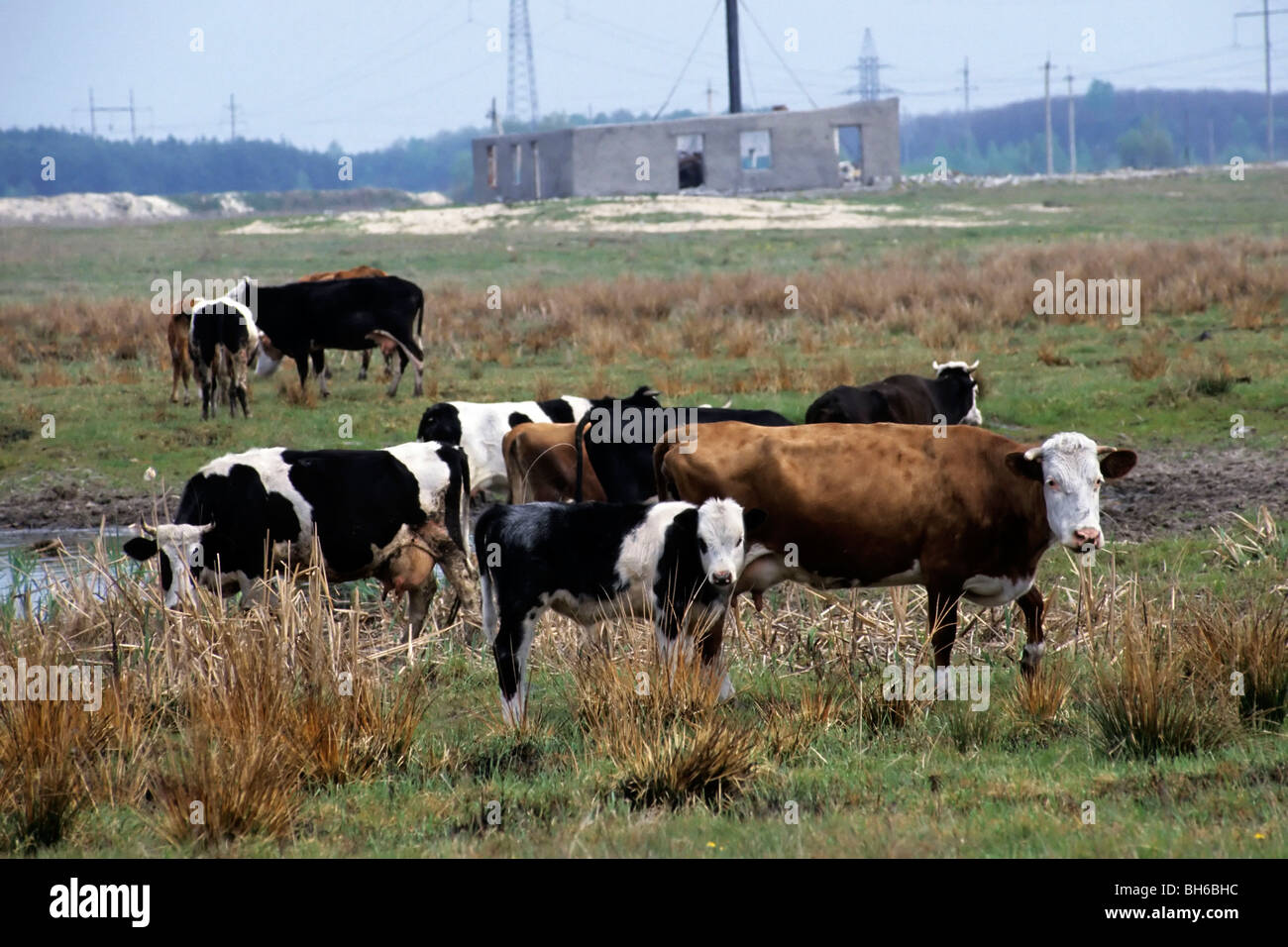 Chernobyl Stock Photos & Chernobyl Stock Images - Alamy