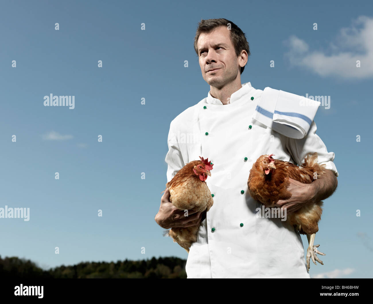 White hens exterior hi-res stock photography and images - Alamy