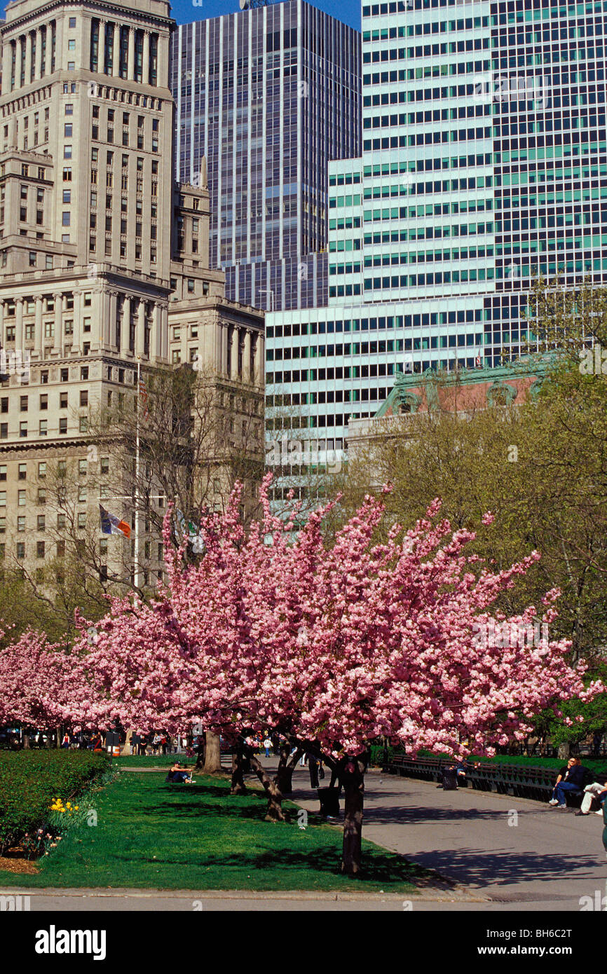 Battery park buildings and flowering trees hi-res stock photography and ...