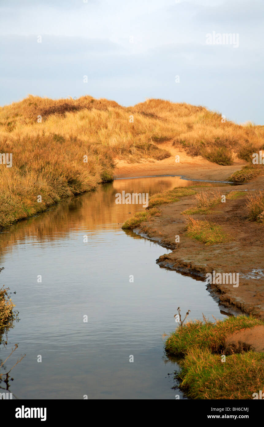 A pool with reflections behind sand dunes at Holme next the Sea ...