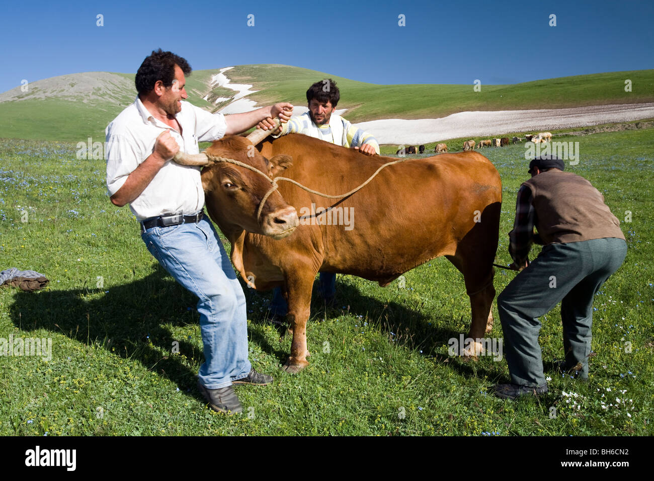 Men turkey hi-res stock photography and images - Alamy