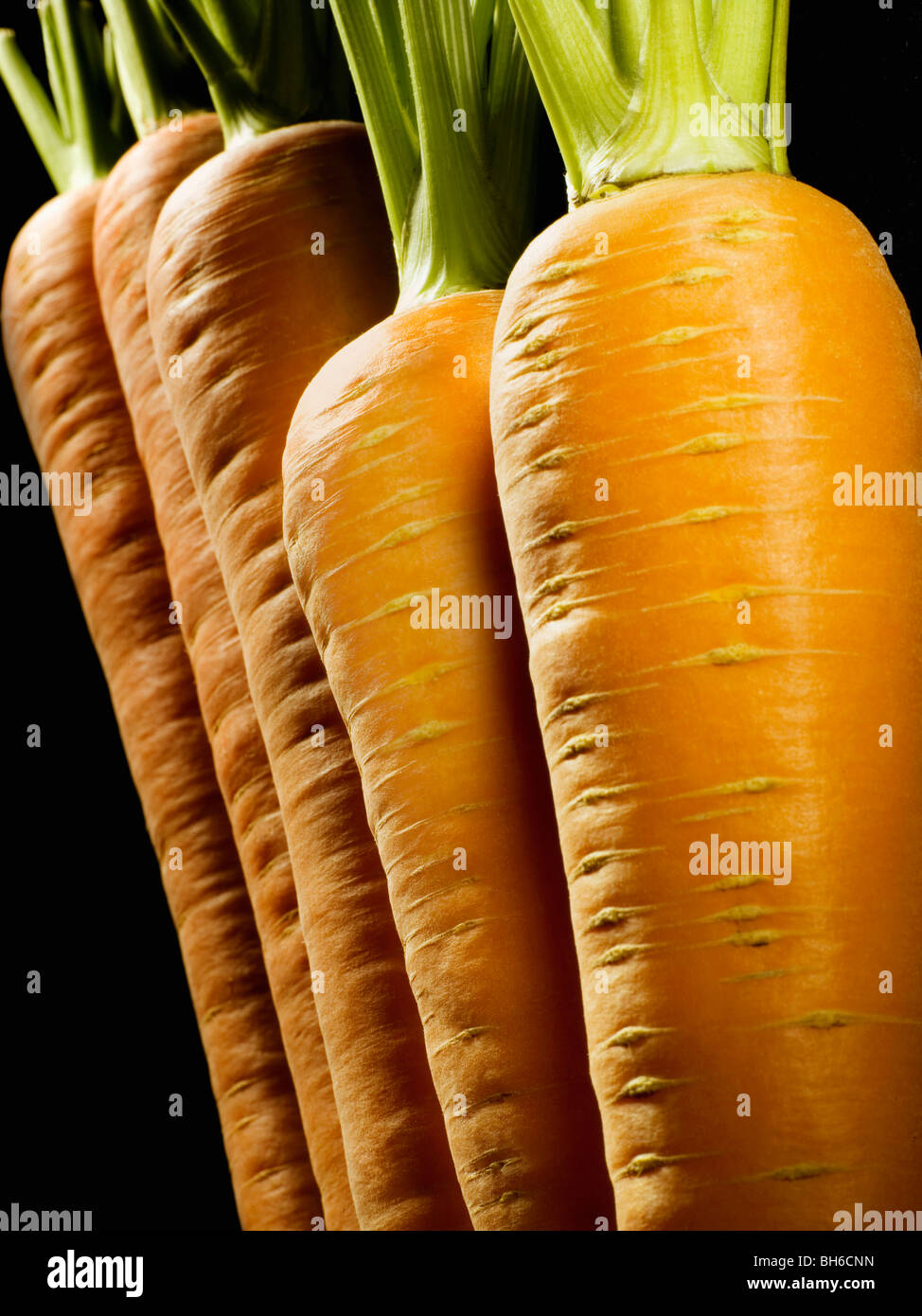 Line carrot hi-res stock photography and images - Alamy