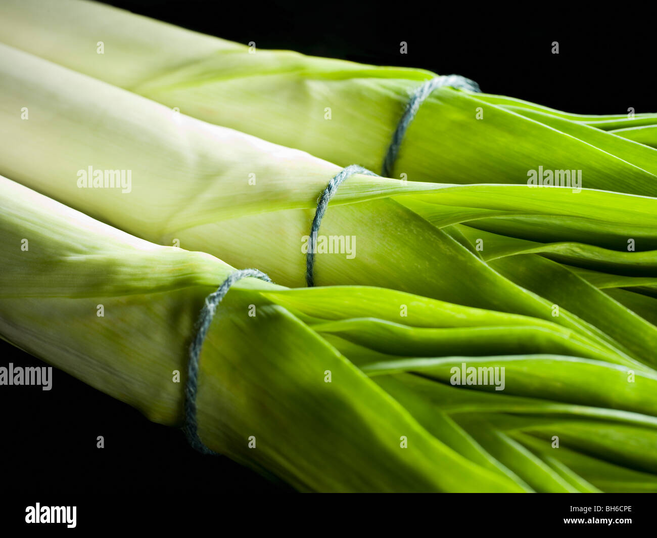 A cropped shot of a line of leeks Stock Photo - Alamy