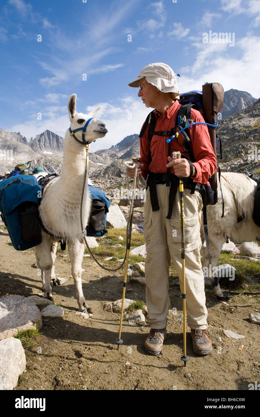 Tracking instincts hi-res stock photography and images - Alamy