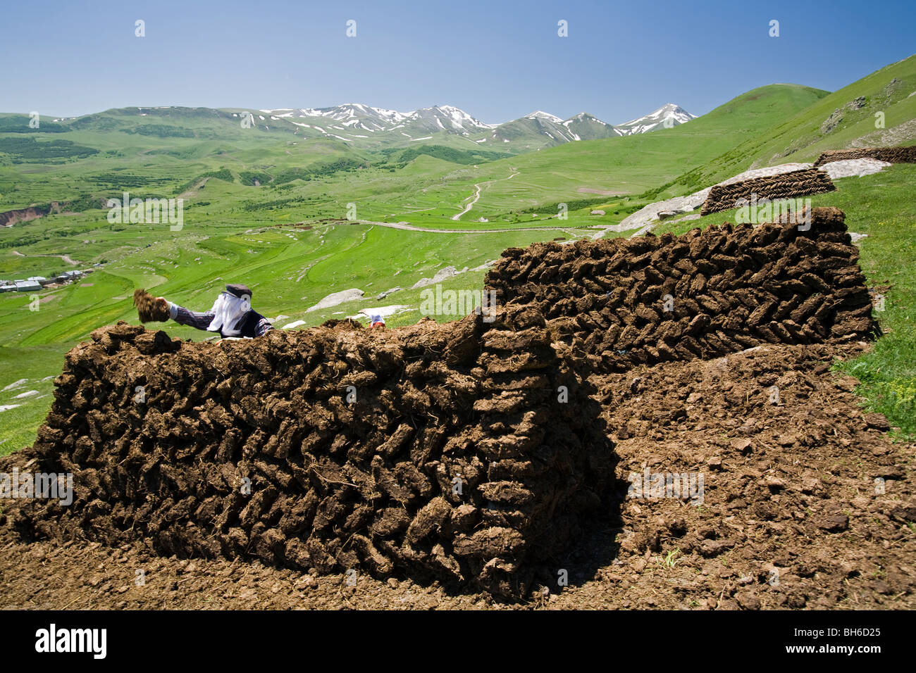 Piling dangs for a source of heating in Posof Ardahan Turkey Stock ...