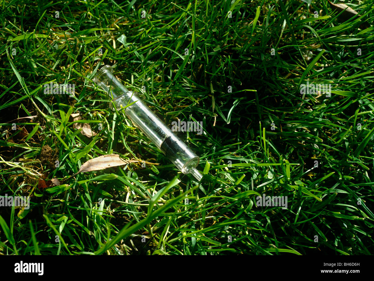 Empty syringe on grass Stock Photo - Alamy