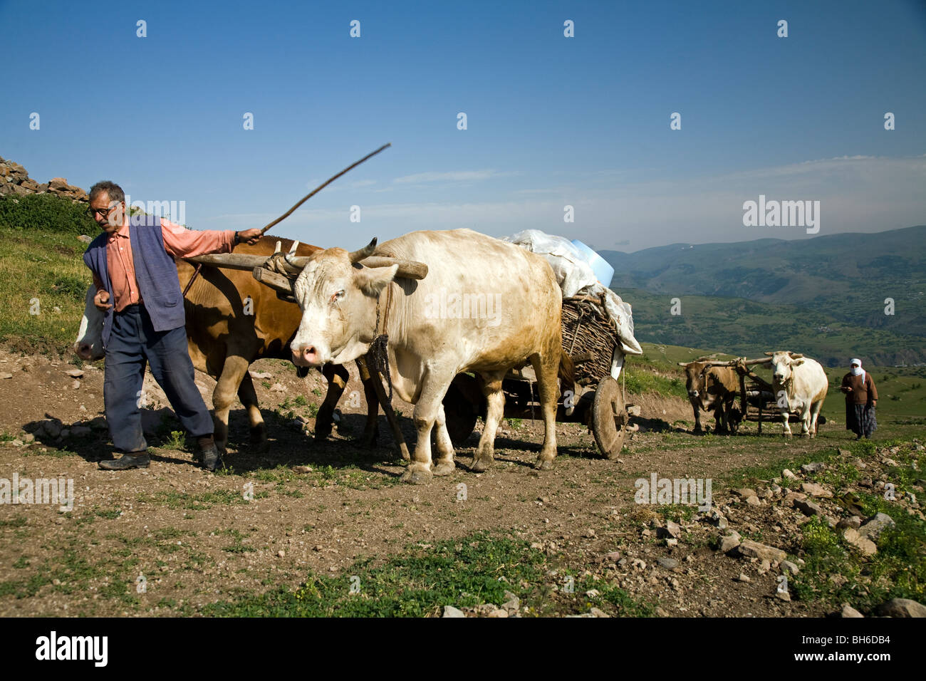 Ox carts hi-res stock photography and images - Alamy