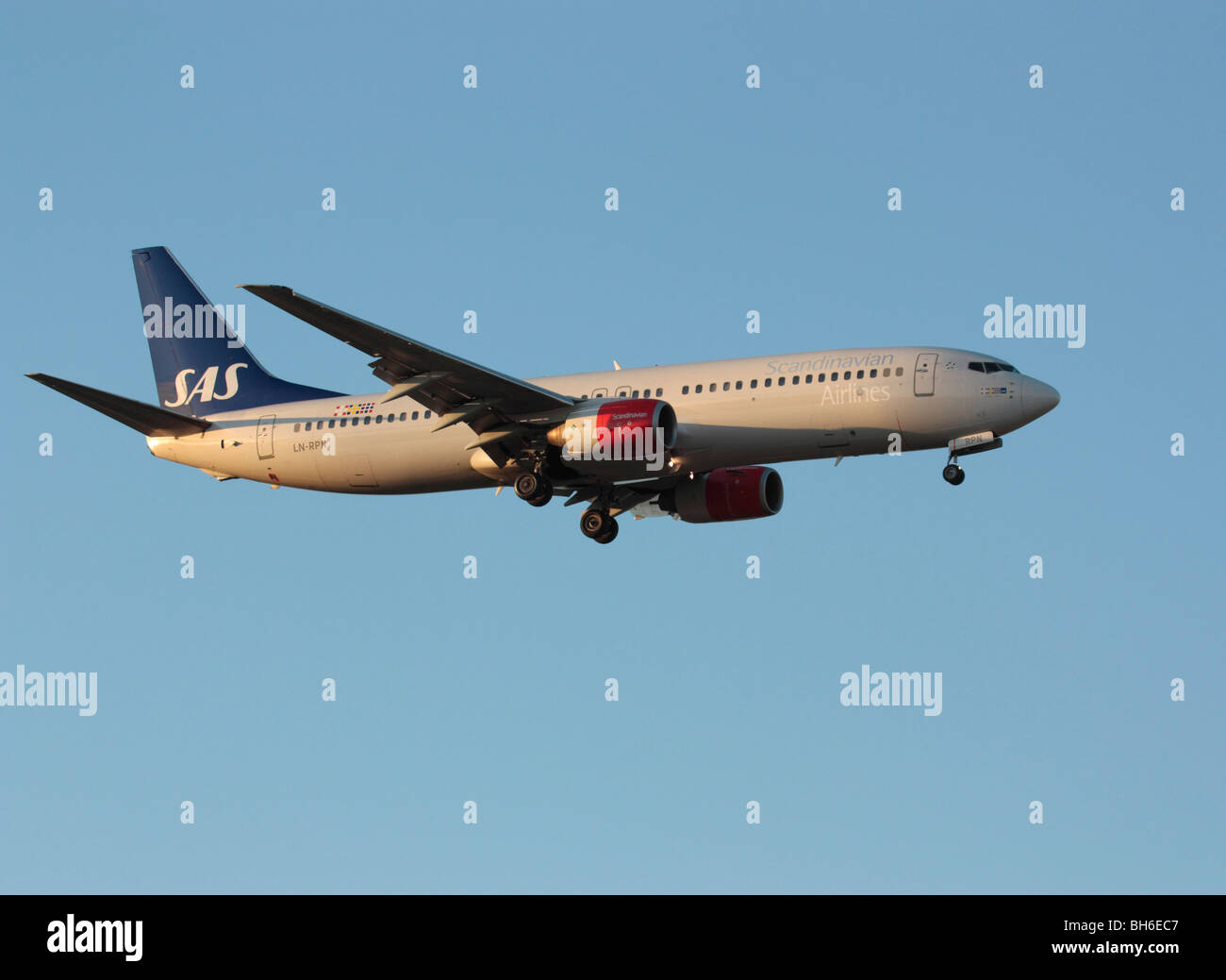 SAS Boeing 737-800 on arrival at sunset Stock Photo - Alamy