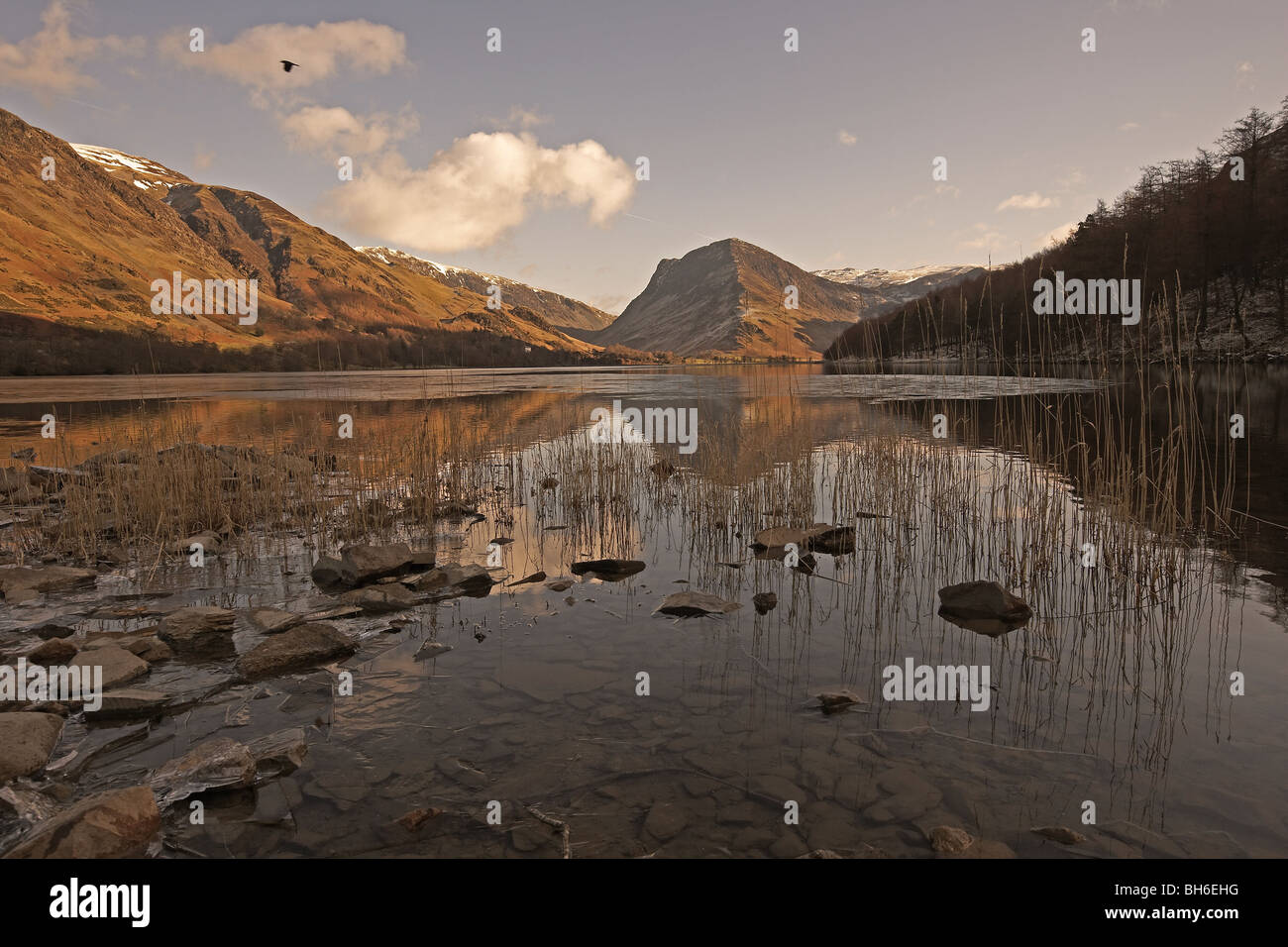 Buttermere looking towards Fleetwith Pike, Lake District National Park ...