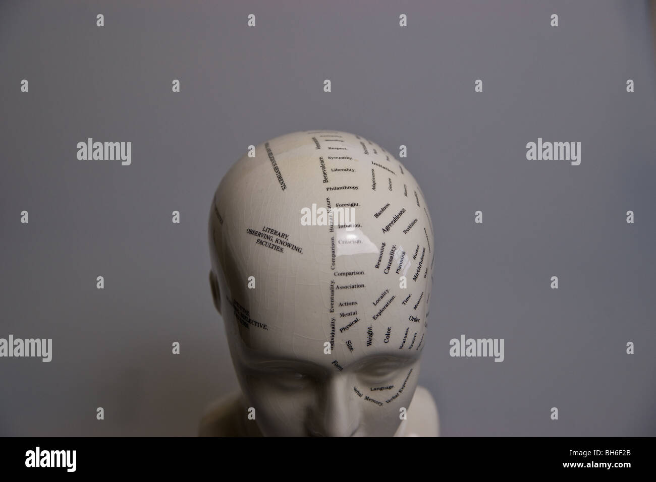 Study psychology Cut Out Stock Images & Pictures - Alamy
