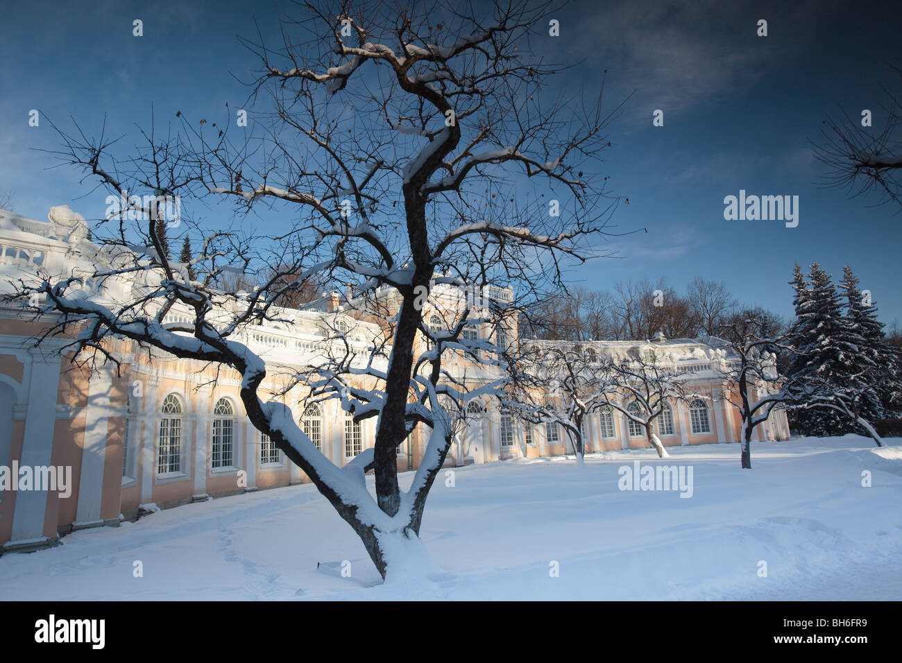 Russian winter. Peterhof. Petrodvorets. Lower Gardens of Petergof Stock ...