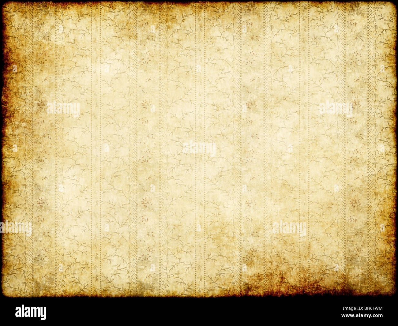 great image of old parchment paper with floral design Stock Photo - Alamy