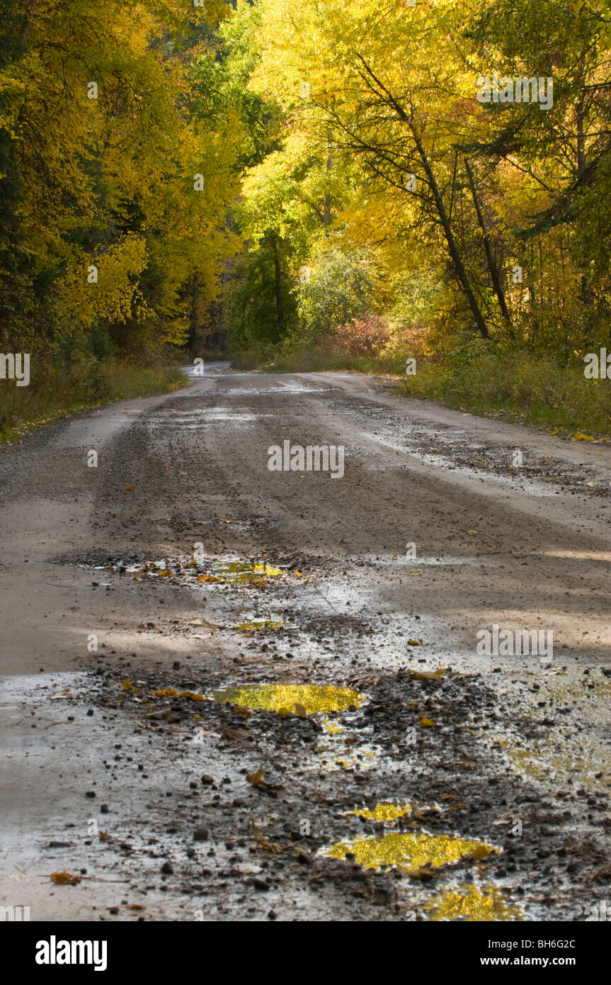 Water puddle rural puddles road hi-res stock photography and images - Alamy