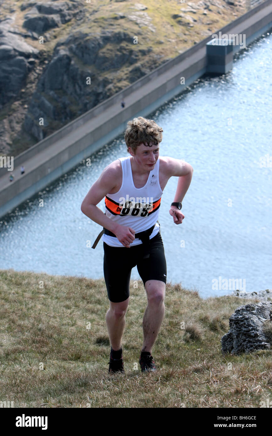 Fell runner competing in the Ras Y Moelwyn Fell Race Stock Photo - Alamy
