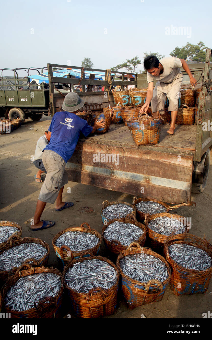 Truck loading fish hi-res stock photography and images - Alamy