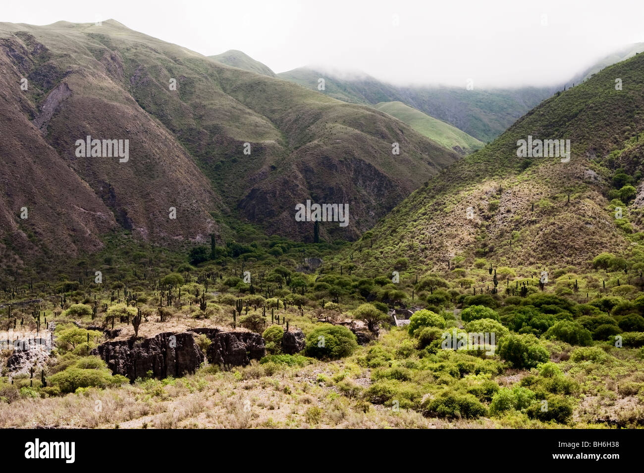 Lerma valley, Province of Salta, Route 51, Argentina Stock Photo - Alamy