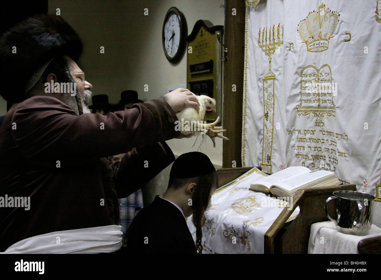 Israel, Bnei Brak, Kapparot ceremony at the Premishlan congregation ...