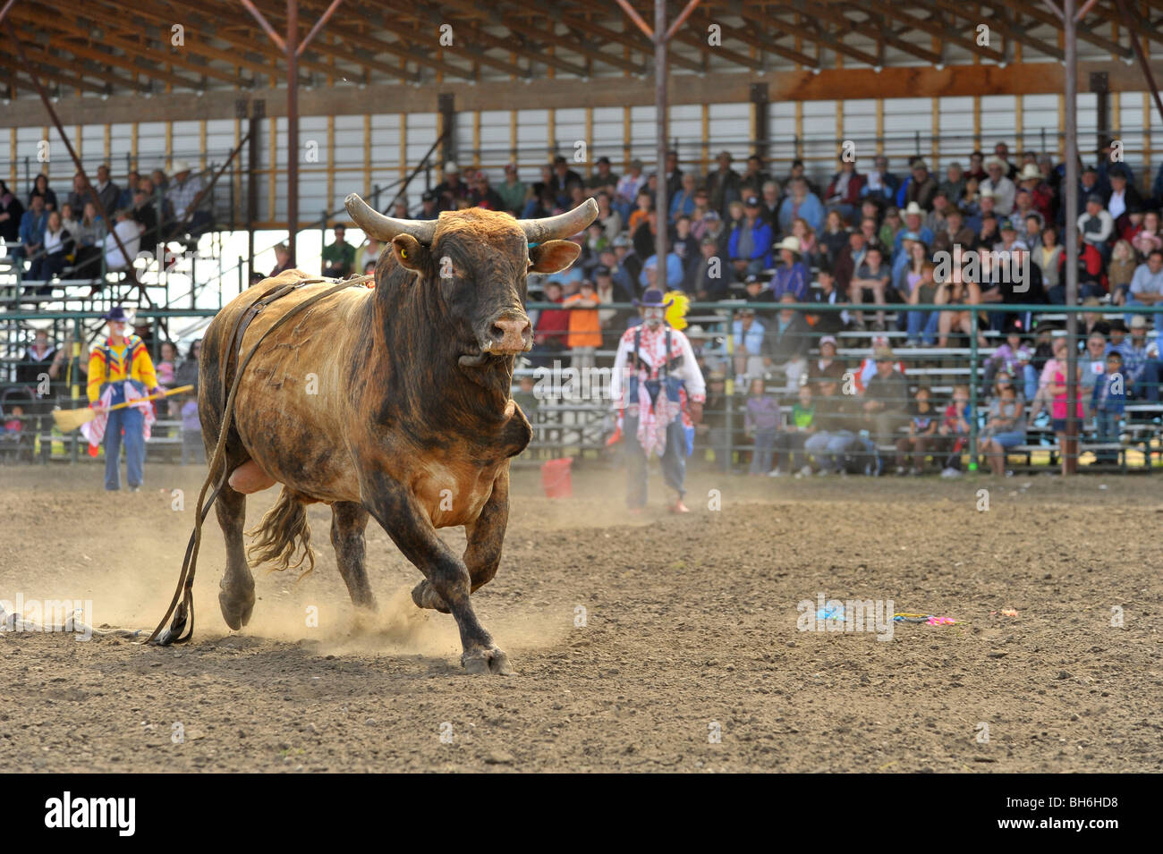 Rodeo Crowd Stock Photos & Rodeo Crowd Stock Images - Alamy