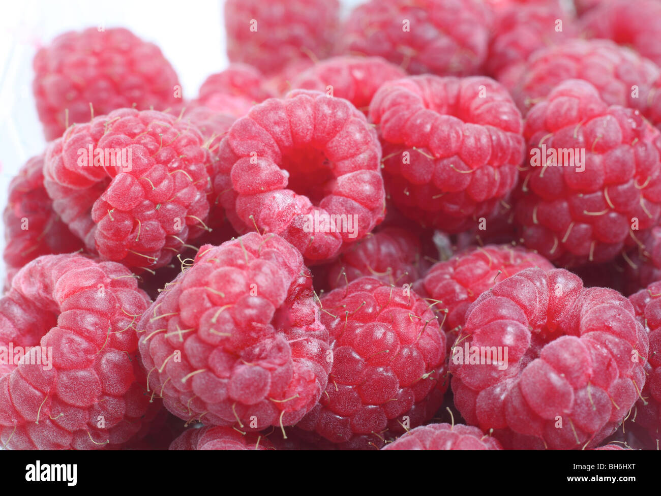 Extreme close-up on raspberries, white background Stock Photo - Alamy