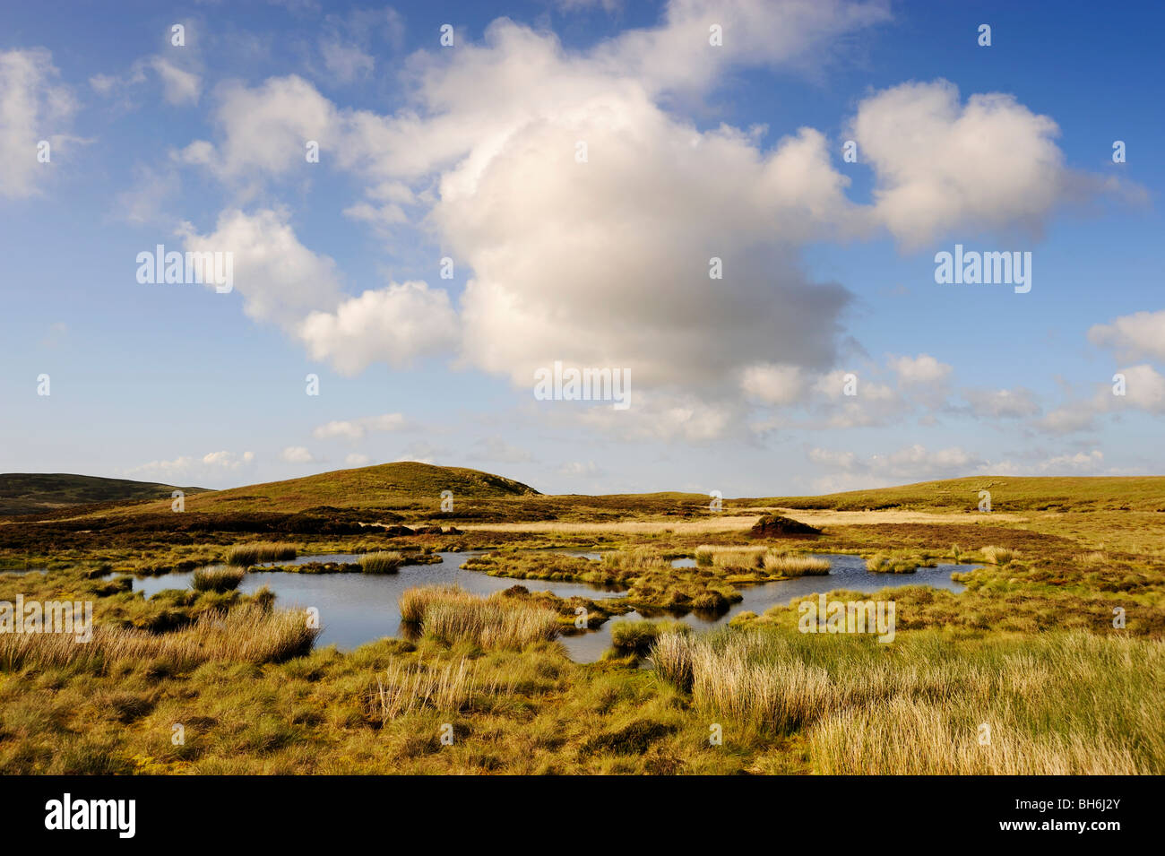 Migneint, a Welsh upland habitat area in North Wales, a special area of ...