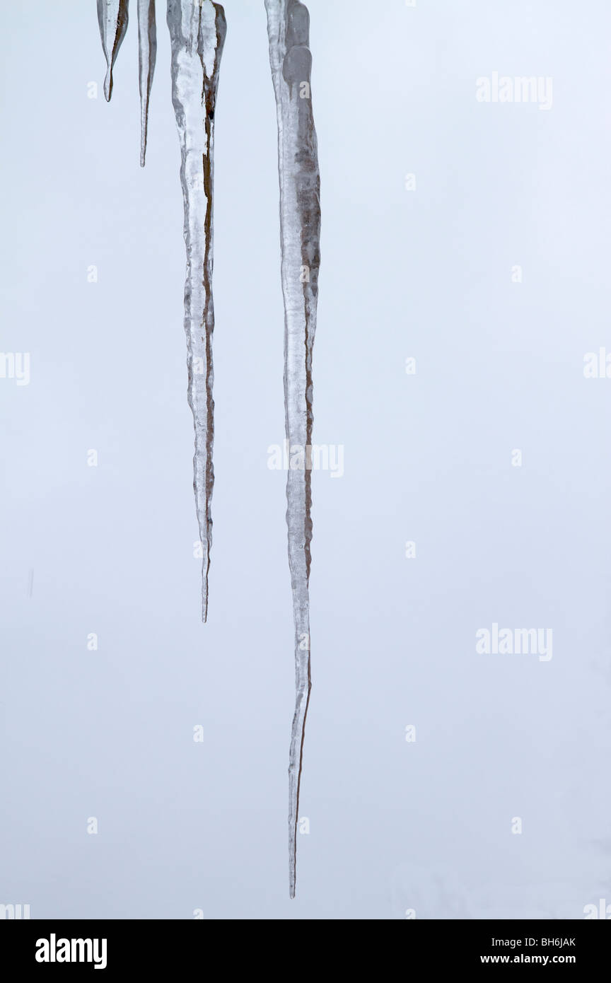 Suspended frozen icicles Stock Photo - Alamy