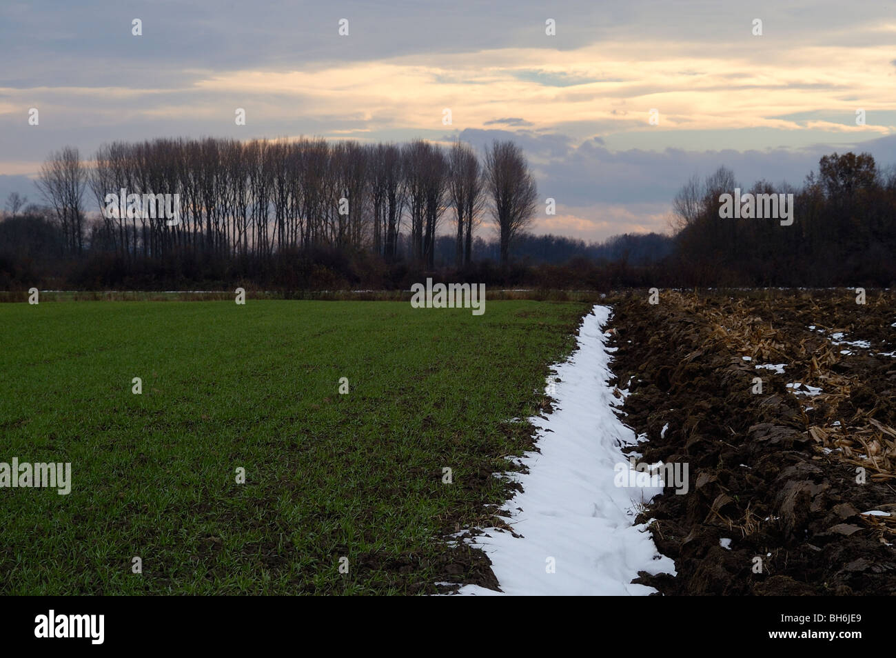 Winter evening on the plain Stock Photo - Alamy
