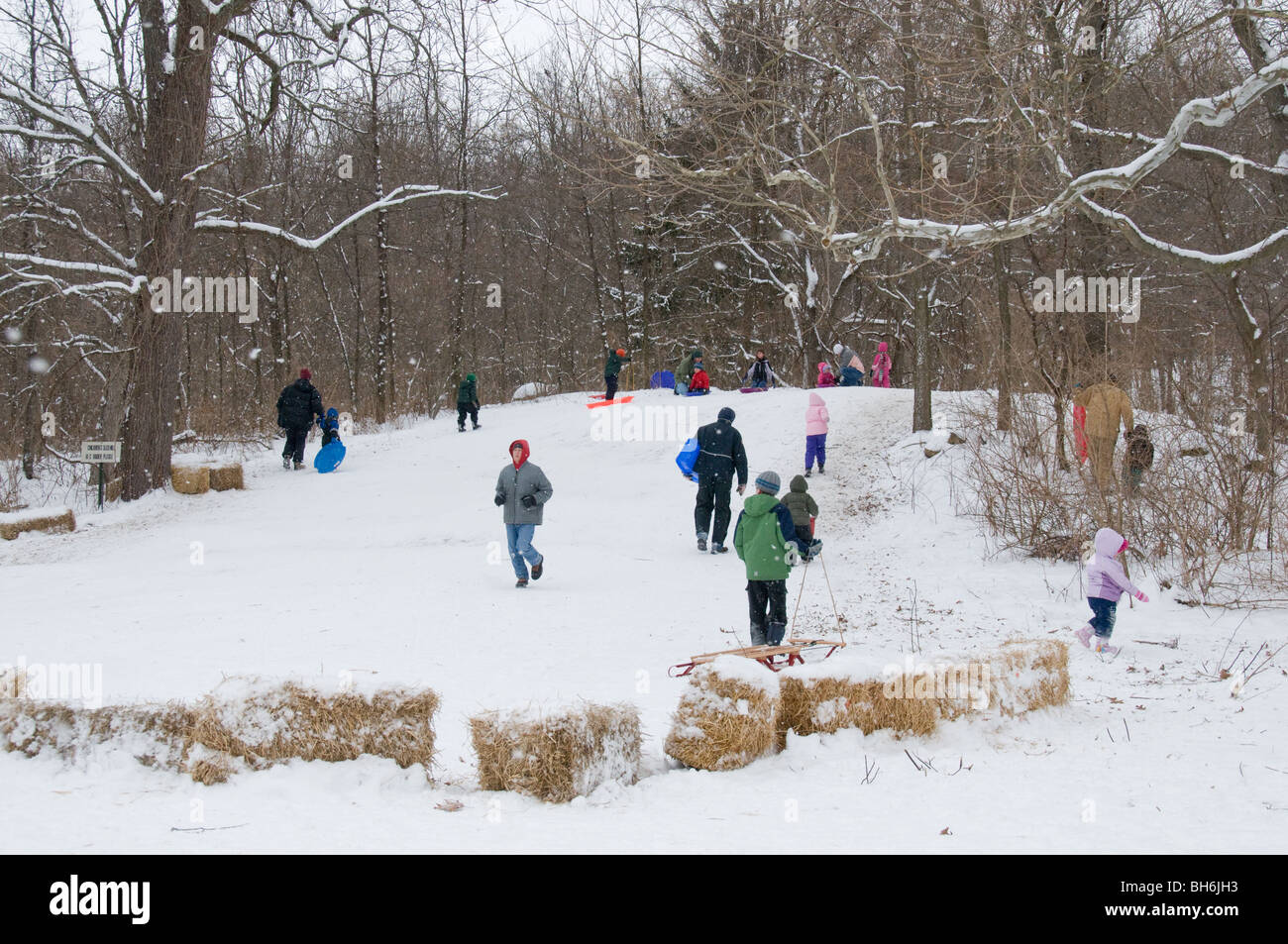 Sledding in park. USA Stock Photo - Alamy