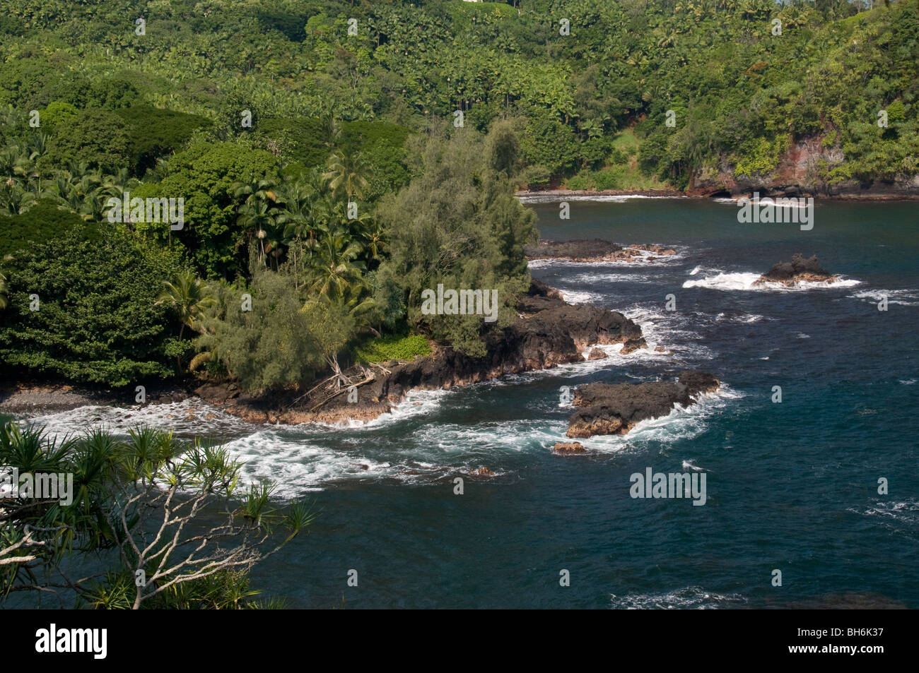 Hilo, hawaii hi-res stock photography and images - Alamy