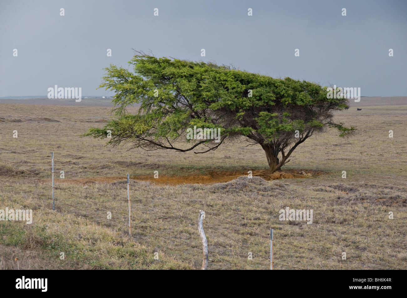 Elongated island hi-res stock photography and images - Alamy