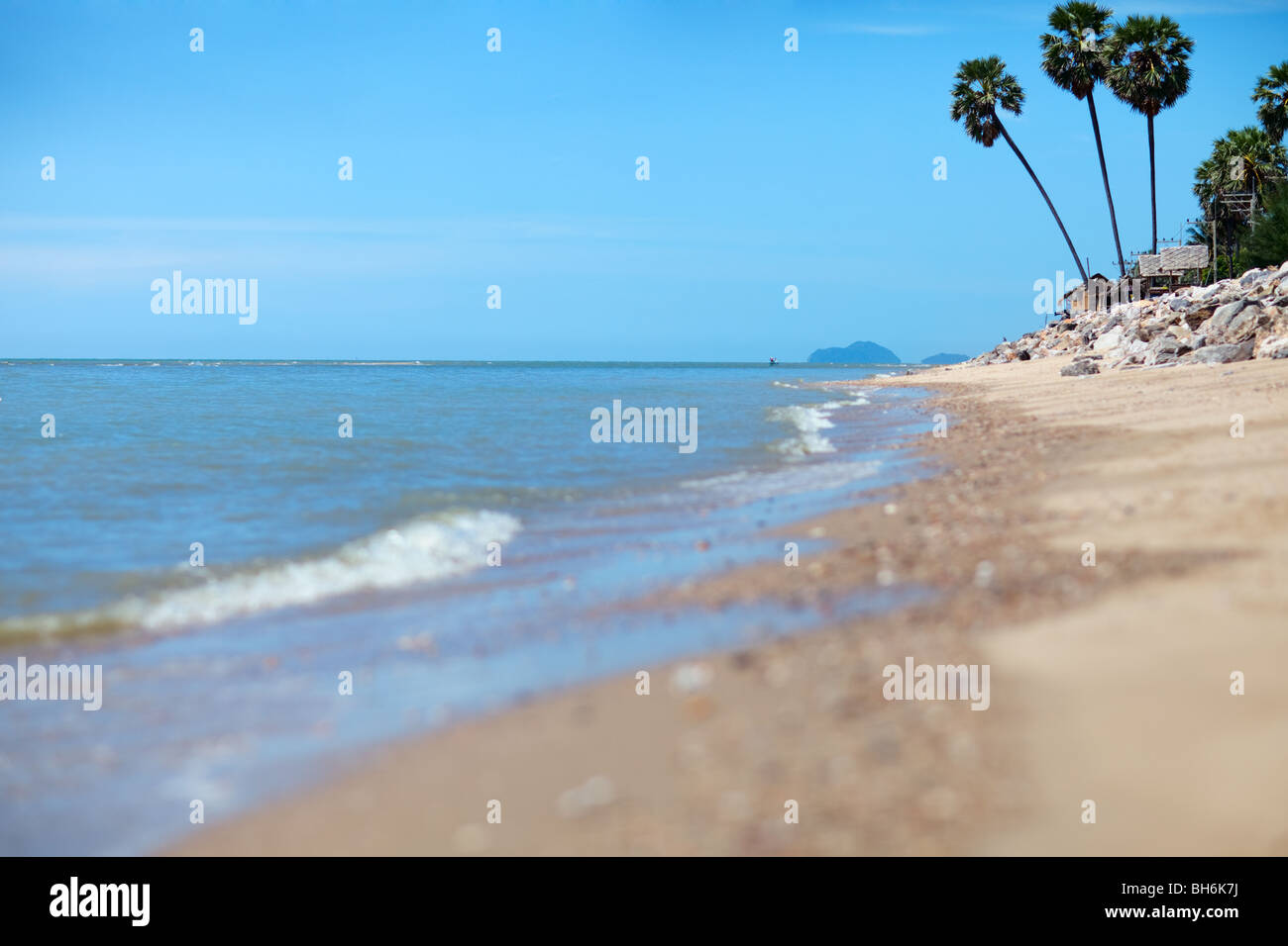 Tropical dream hi-res stock photography and images - Alamy