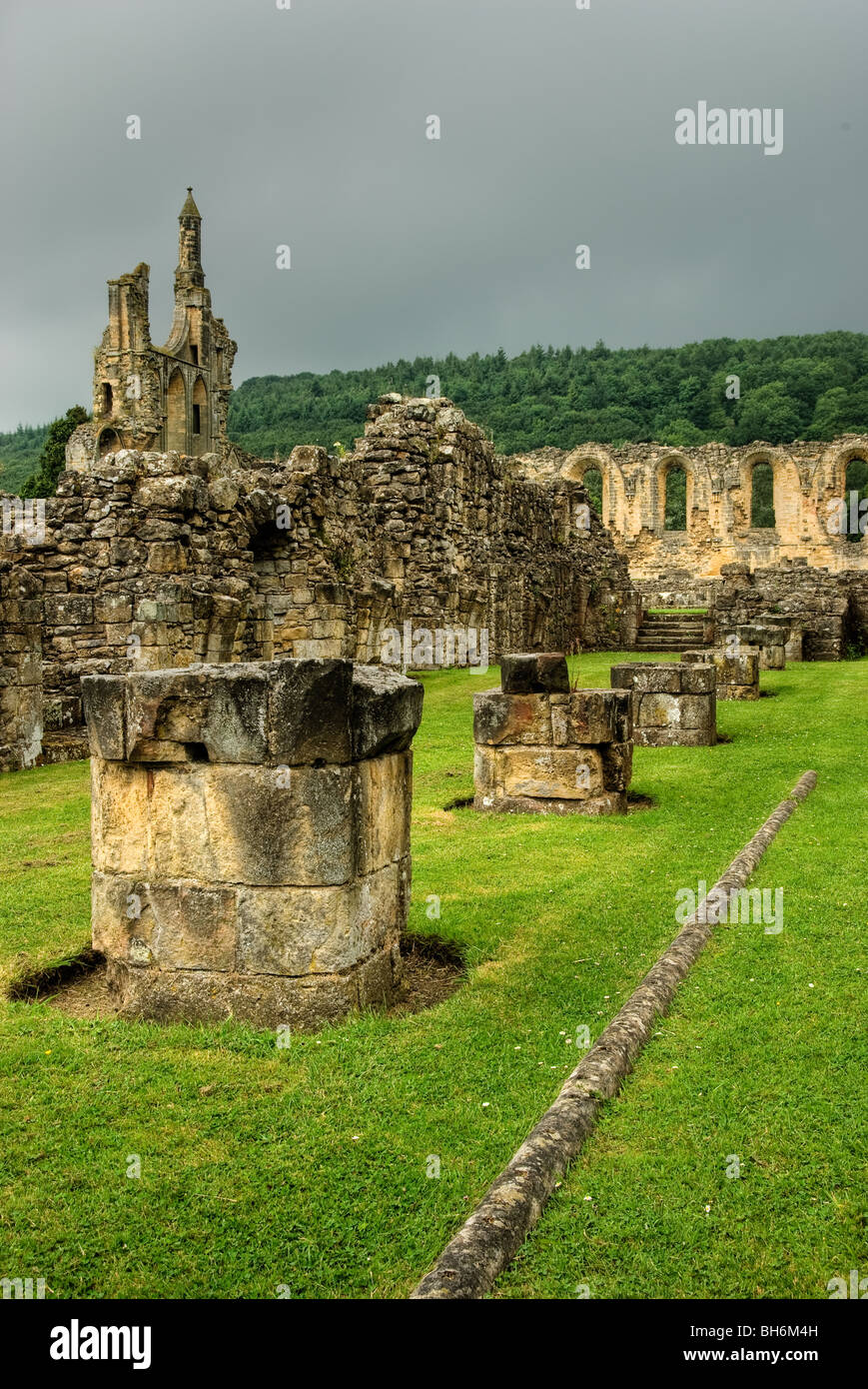 Grey abbey hi-res stock photography and images - Alamy