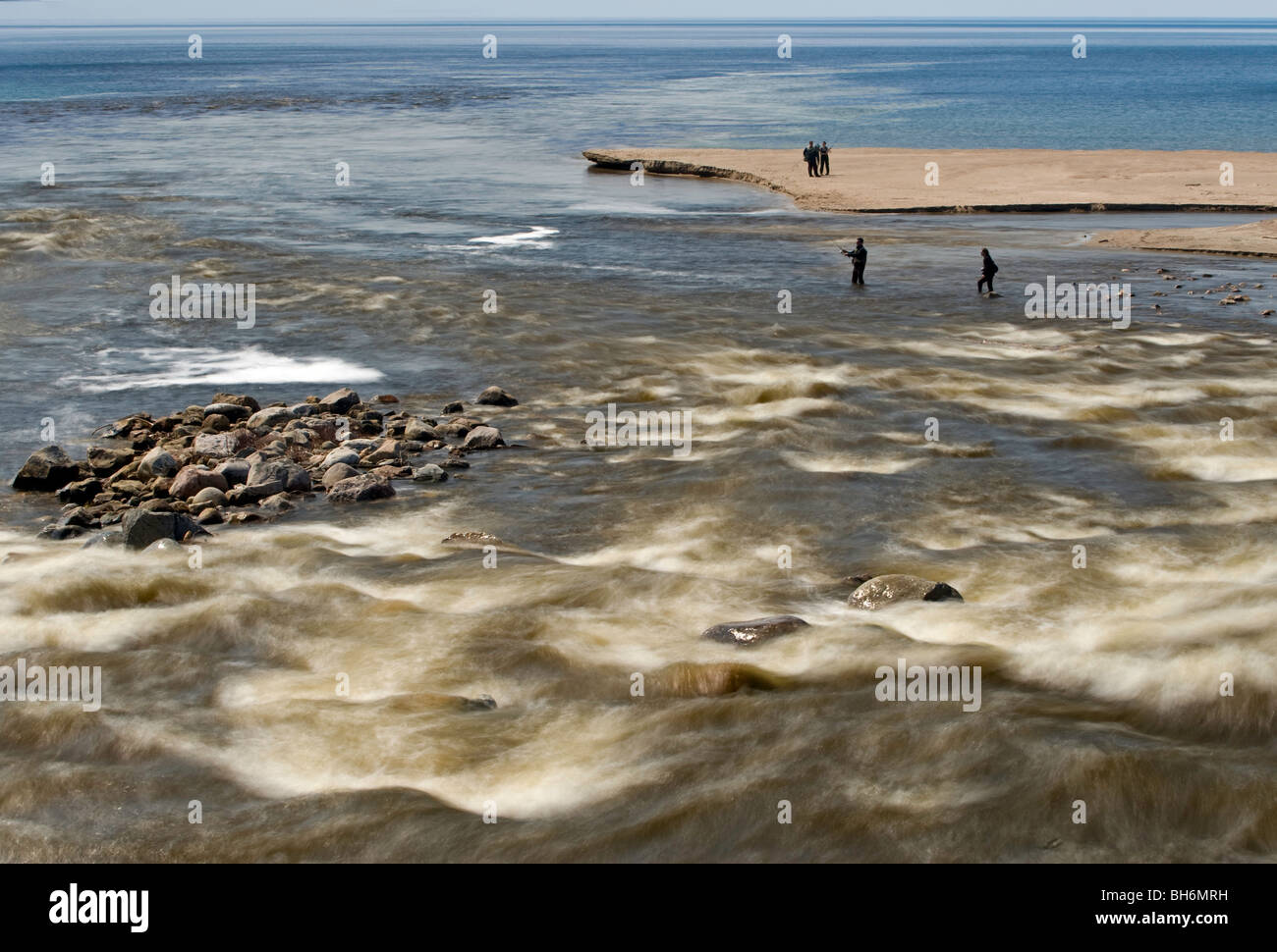 Spring salmon hi-res stock photography and images - Alamy