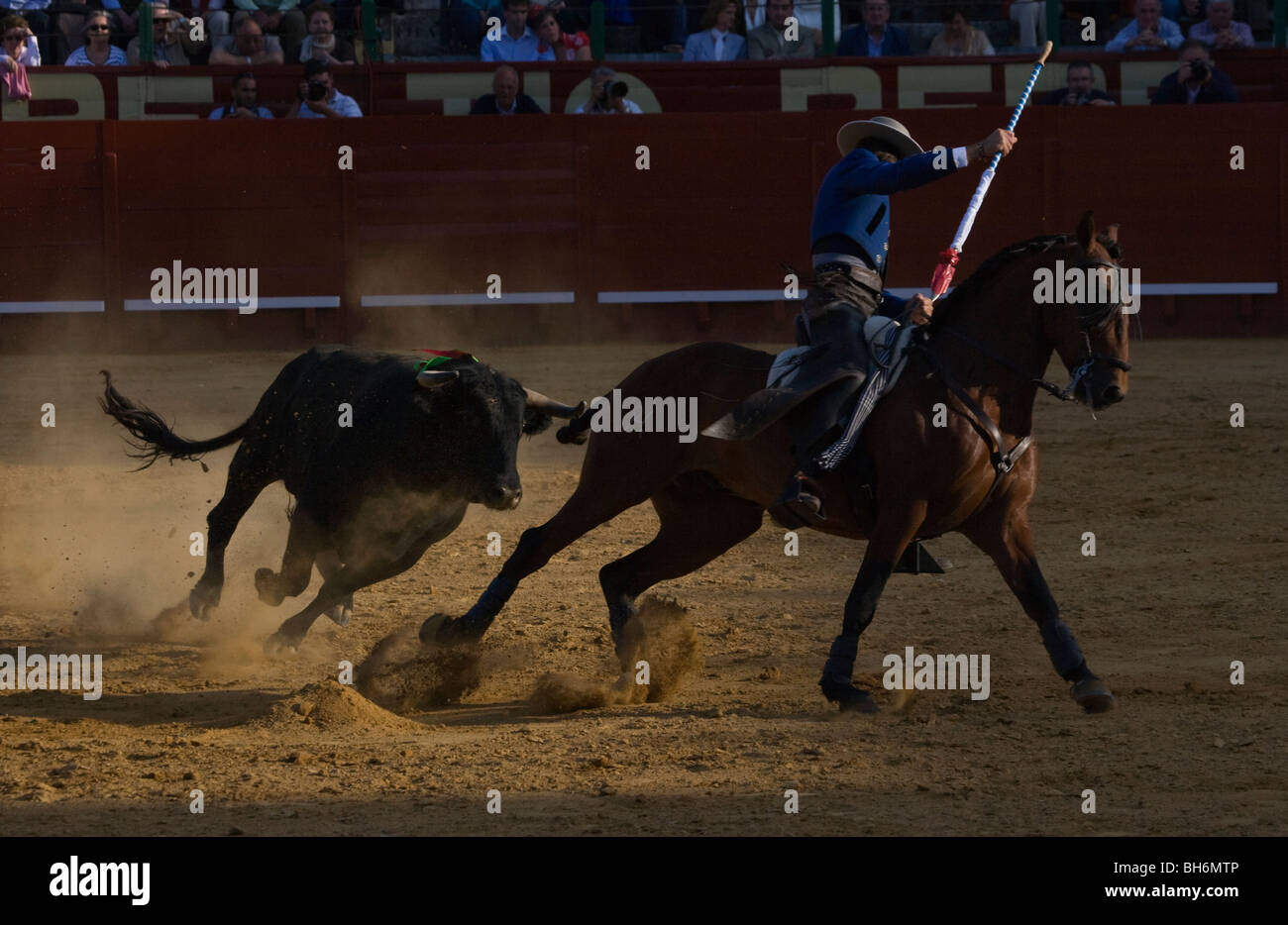Man riding lusitano horse hi-res stock photography and images - Alamy