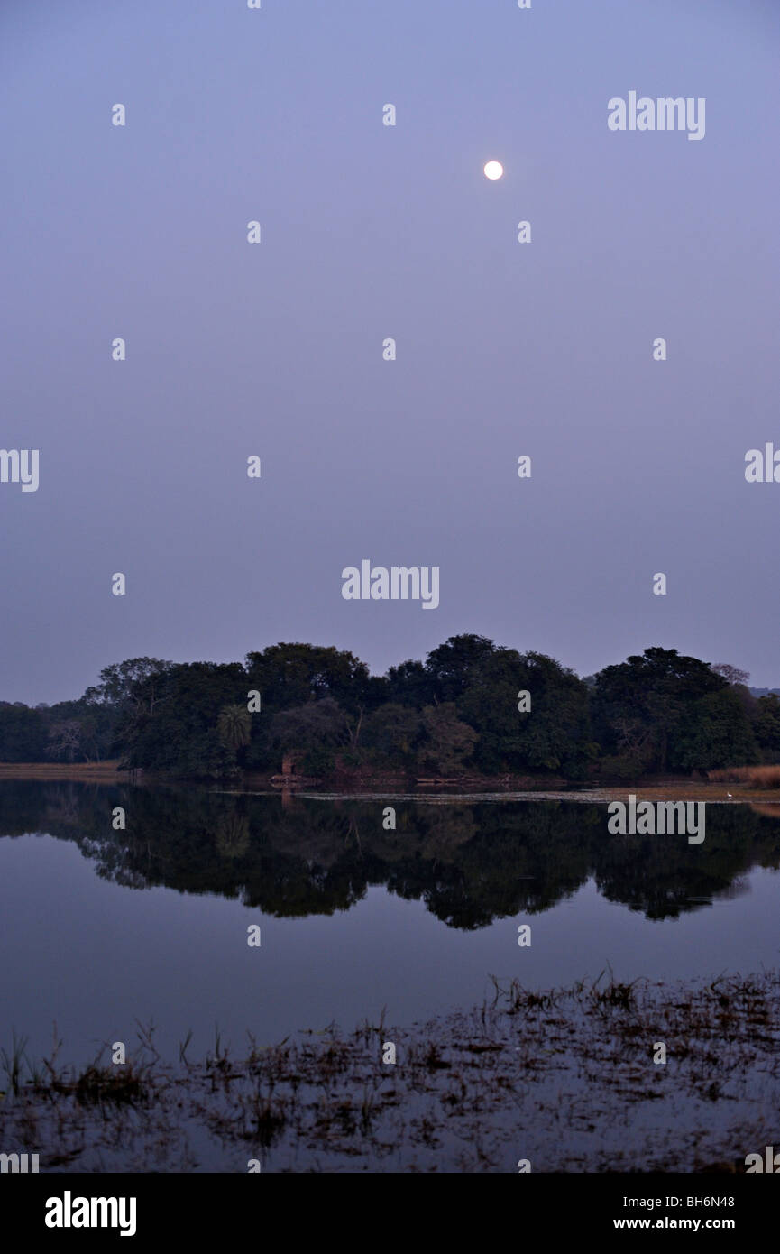 Moonrise on the Rajbagh lake in Ranthambhore national park Stock Photo ...