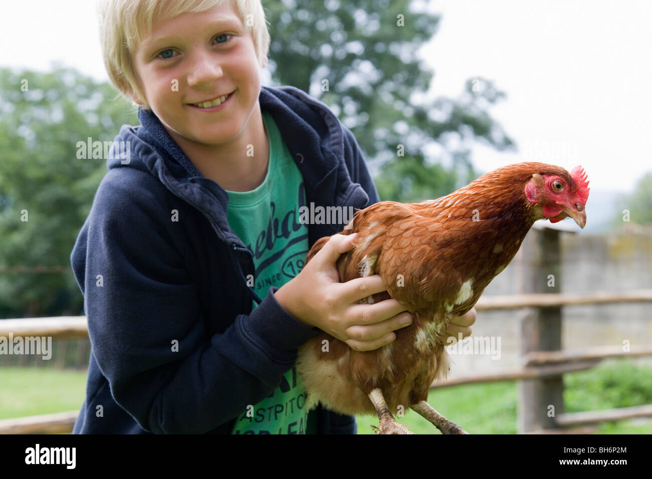 boy holding chicken Stock Photo - Alamy