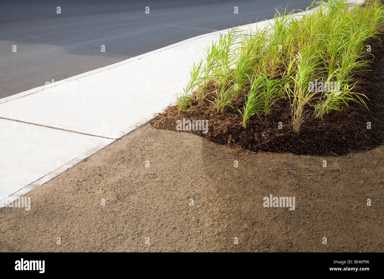 Grass Pavement High Resolution Stock Photography and Images - Alamy