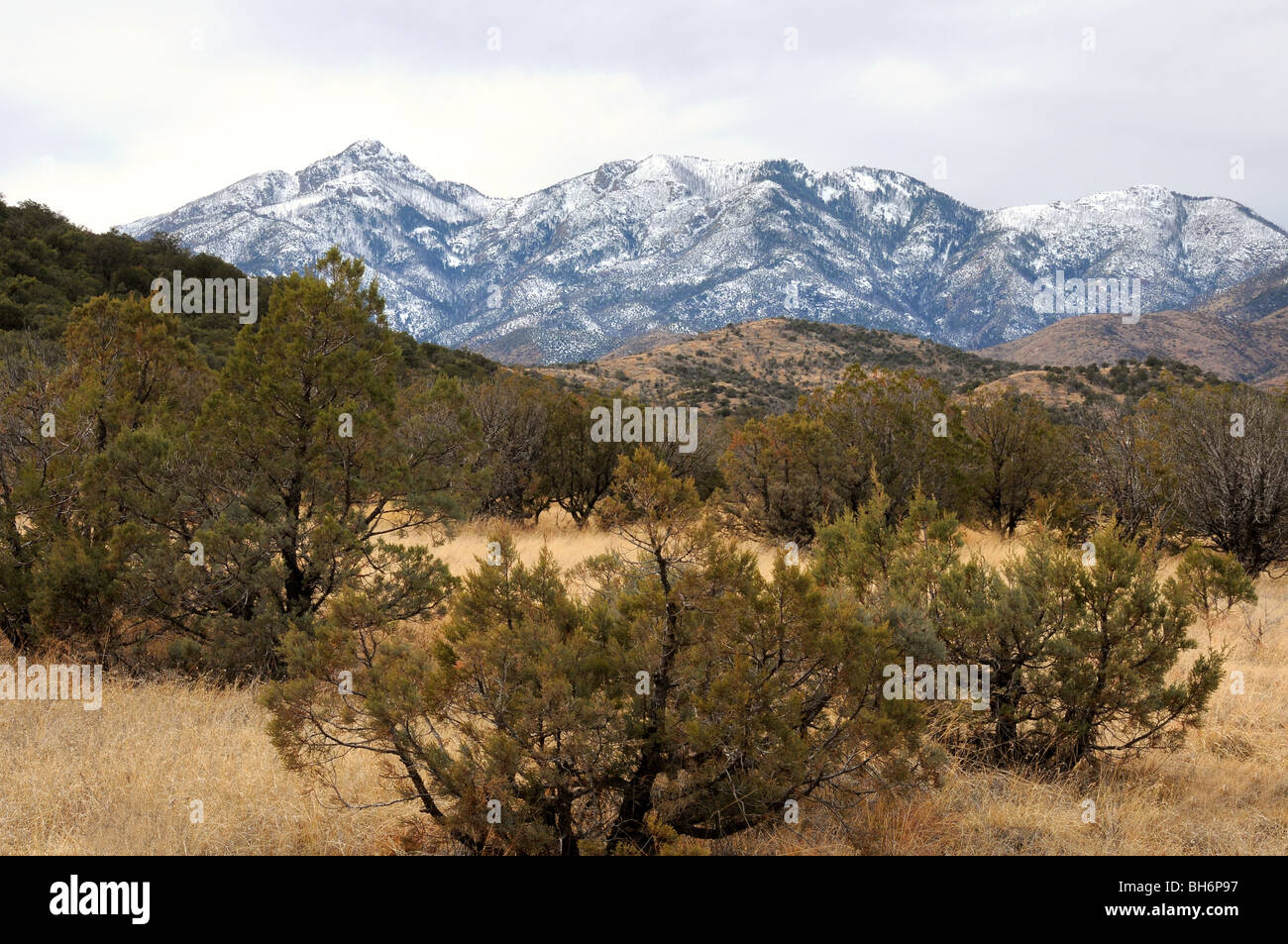 Mount Wrightson seen from the Arizona Trail in the Santa Rita Mountains ...