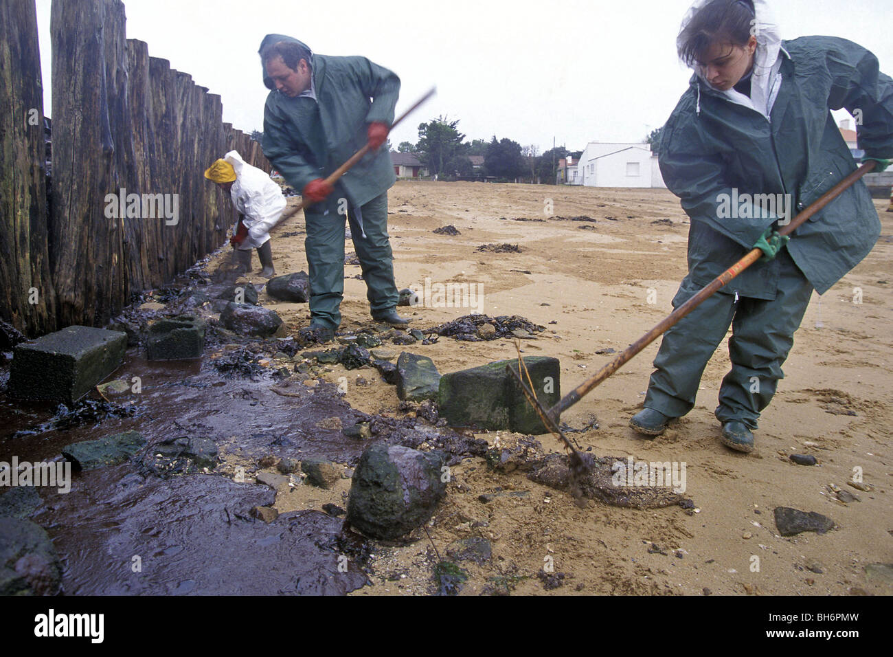 Erika Oil Spill High Resolution Stock Photography and Images - Alamy