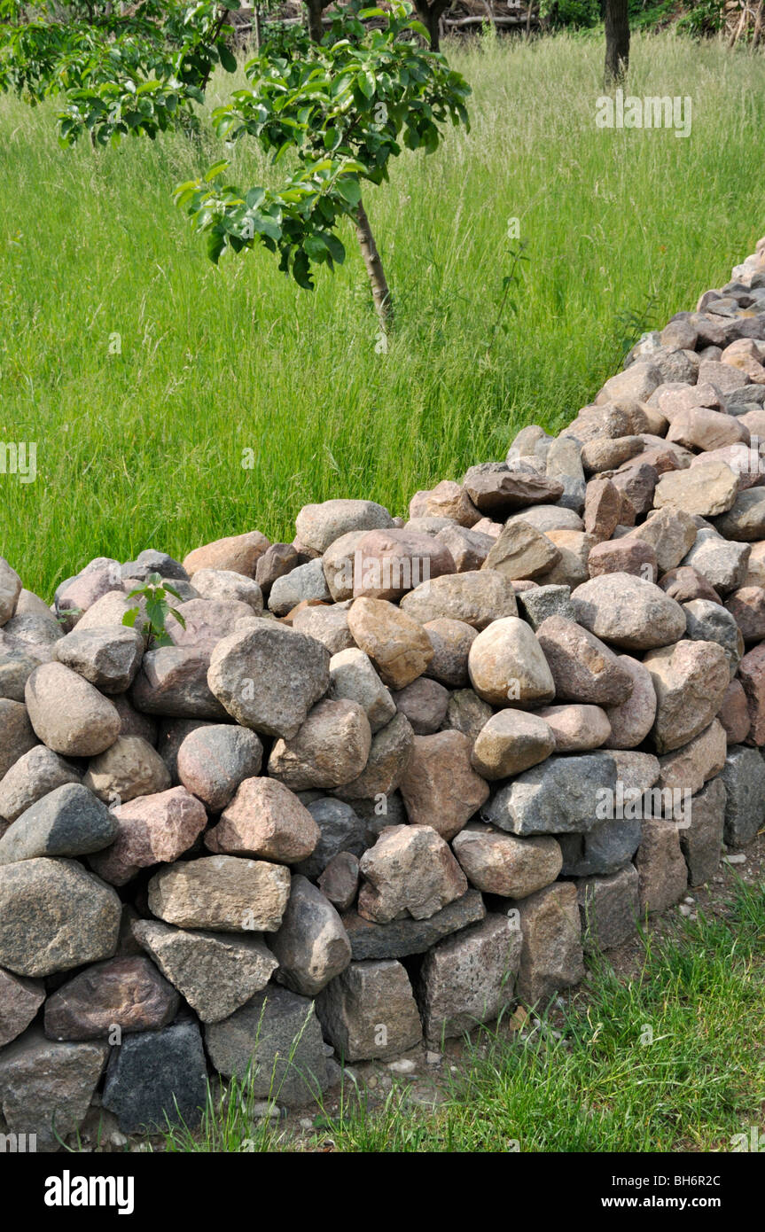 Orchard with stone wall Stock Photo - Alamy
