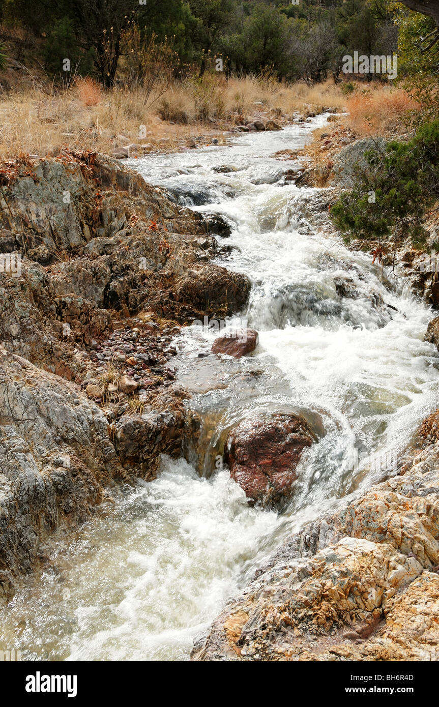 Water flows in Gardner Canyon Creek along the Arizona Trail in Gardner ...