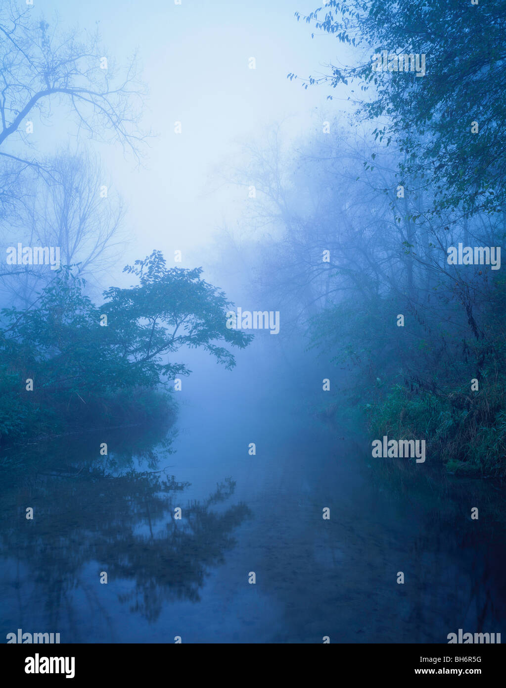 Sny magill natural area hi-res stock photography and images - Alamy