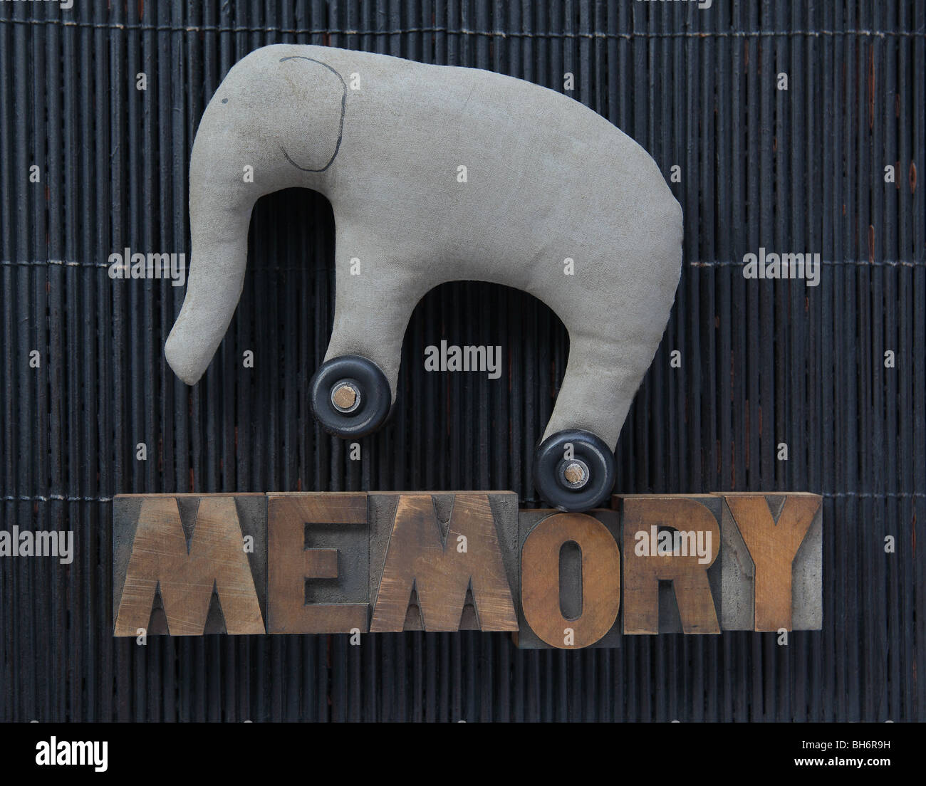 Elephant memory hi-res stock photography and images - Alamy