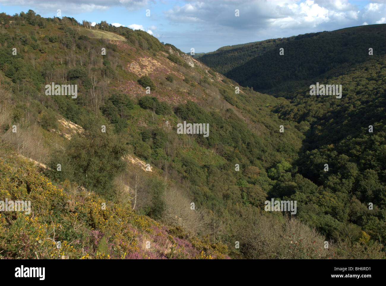The Teign Gorge near Castle Drogo, Dartmoor Stock Photo - Alamy