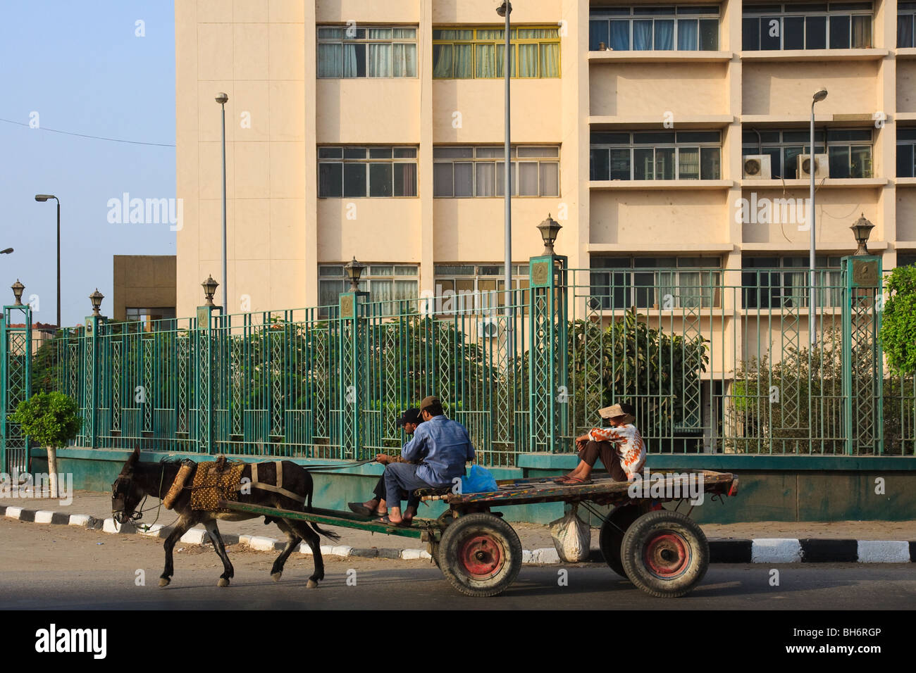 Africa Carts Egypt Street Transport Zagazig Stock Photo - Alamy