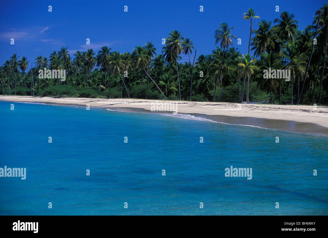 Pinney’s Beach High Resolution Stock Photography and Images - Alamy