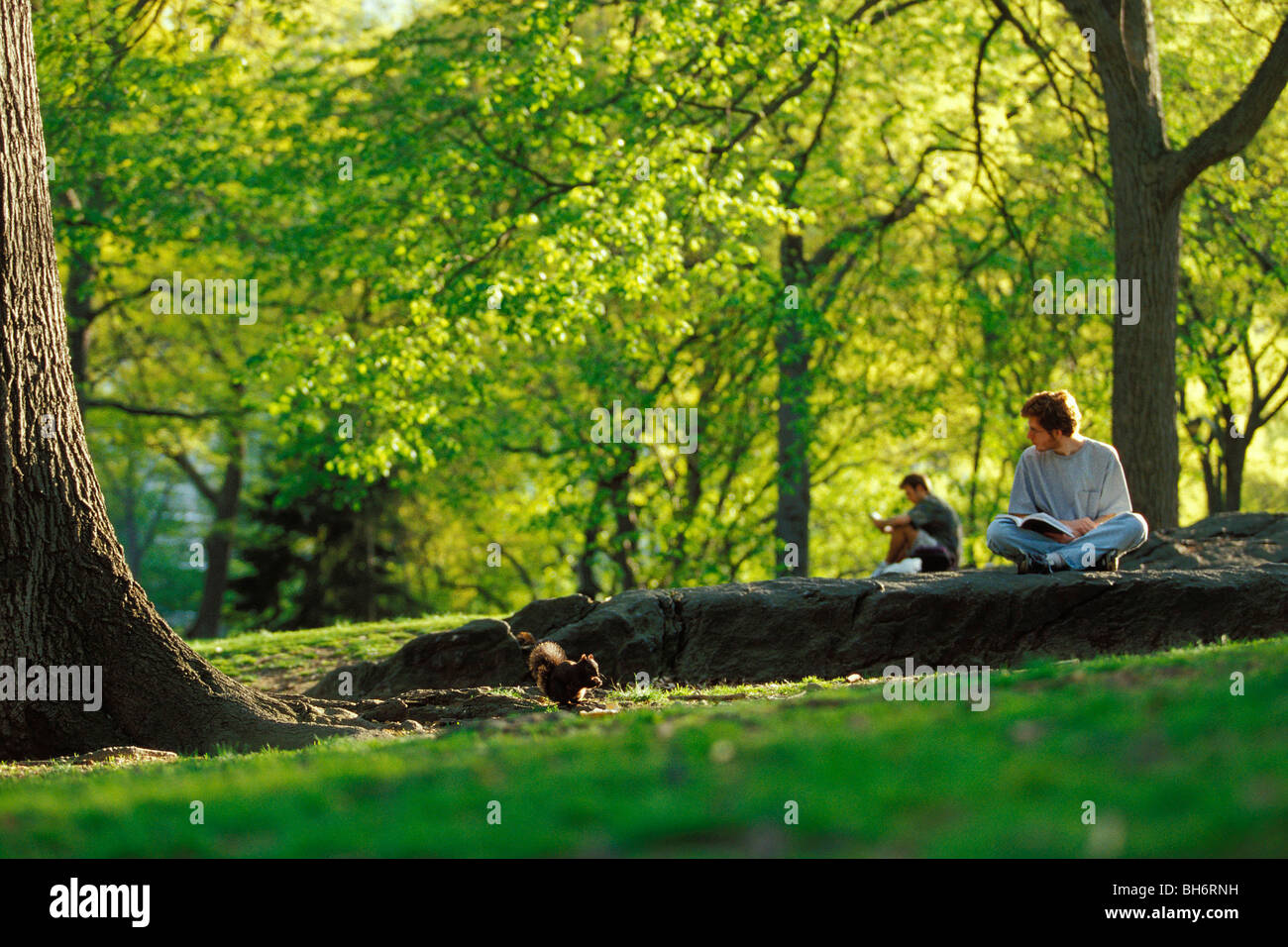 Reading under tree central park hi-res stock photography and images - Alamy
